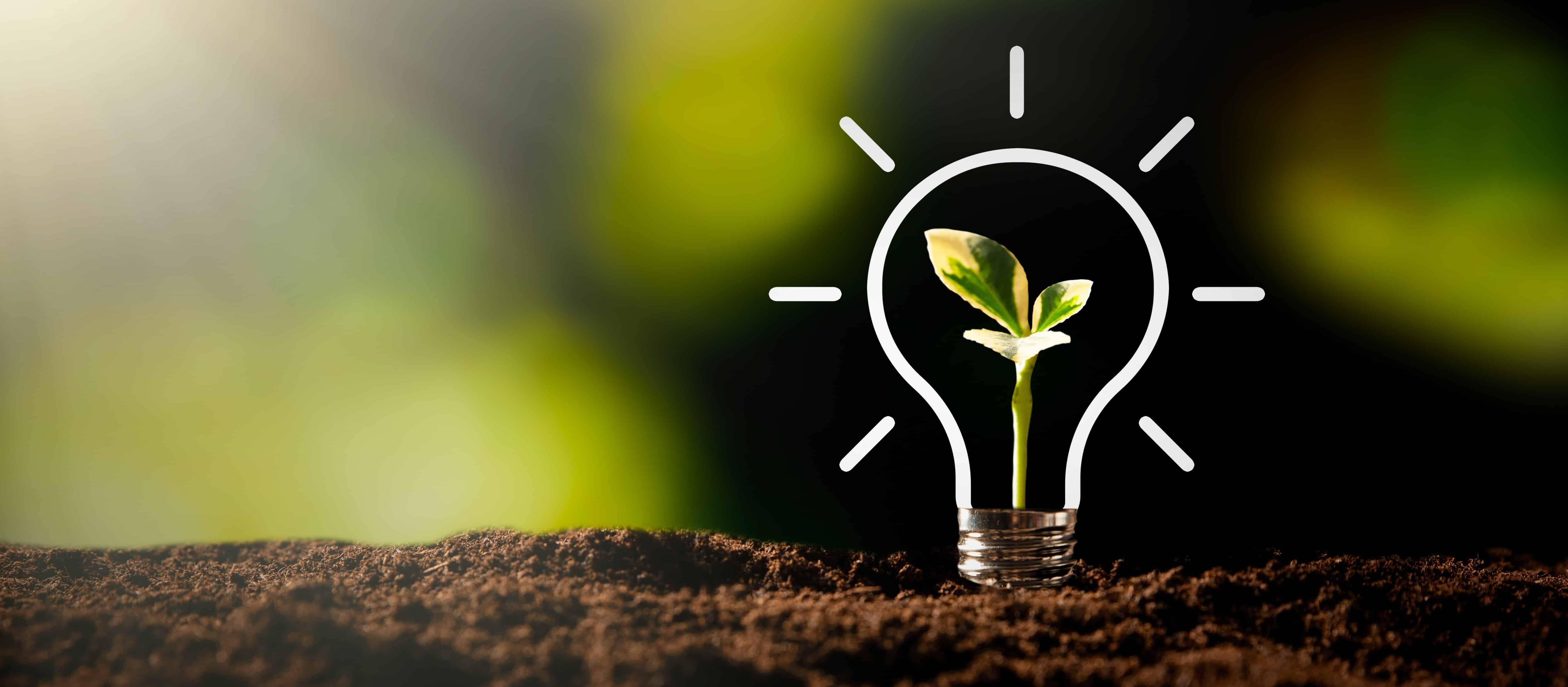 Smart und umweltfreundlich: Grüne Alltags-Tipps mit Spaß- und Sparfaktor